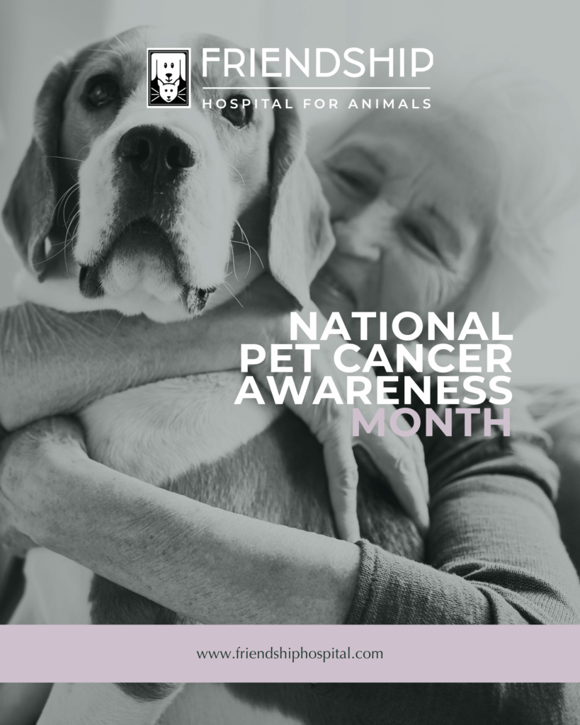 Cancer Prevention in Pets - Friendship Hospital for Animals